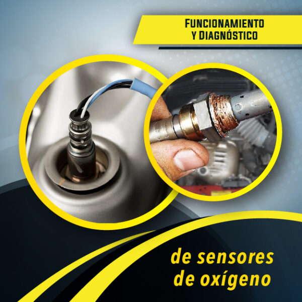 Funcionamiento y Diagnóstico de Sensores de Oxígeno y Ajustes de ...